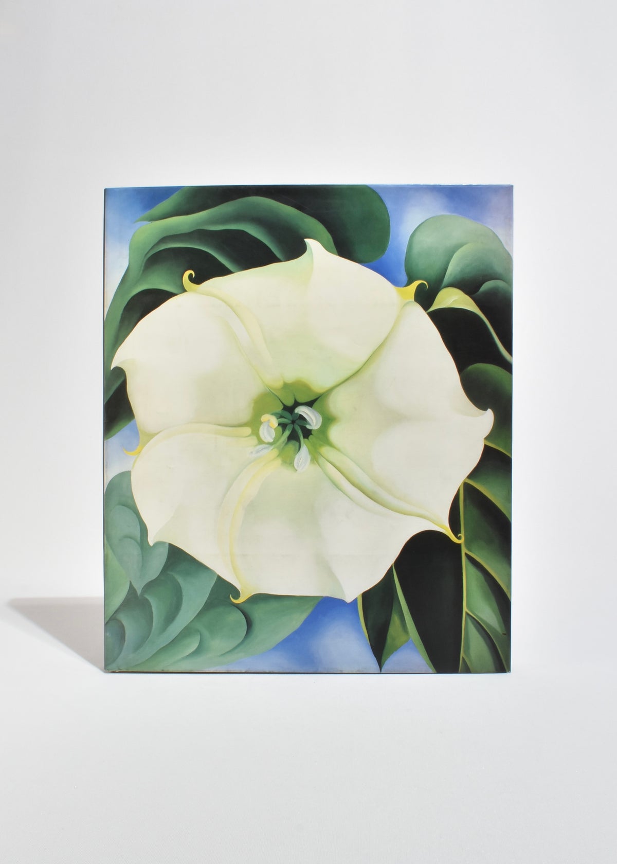 Georgia O'Keeffe: 100 Flowers — Casa Shop